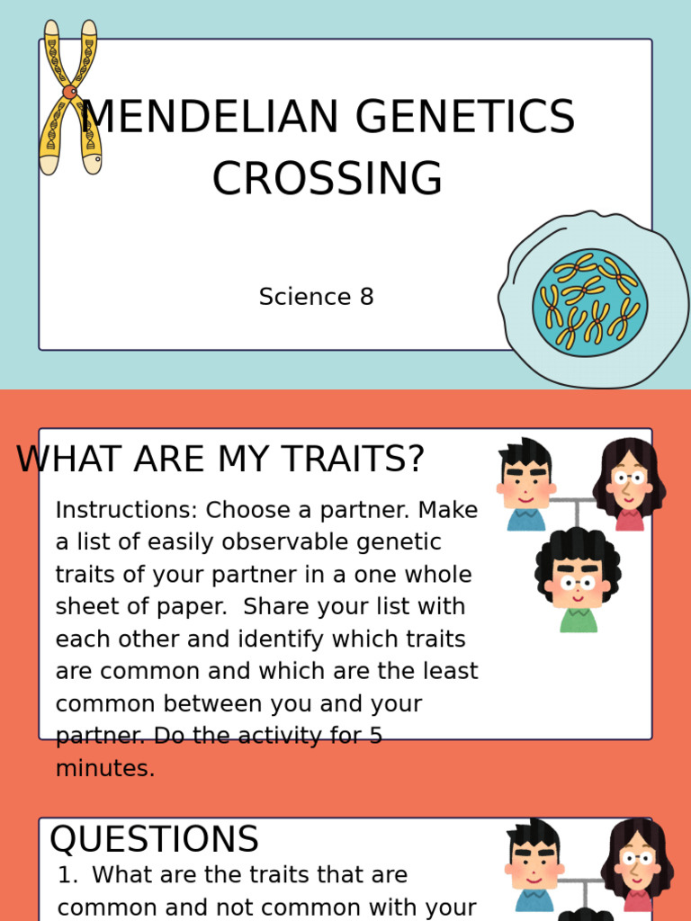 Mendelian Genetics Crossing | PDF