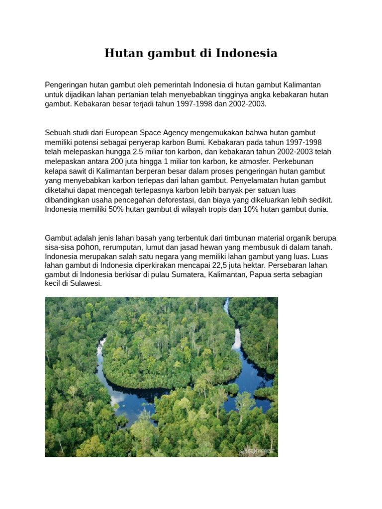 Hutan Gambut Di Indonesia | PDF