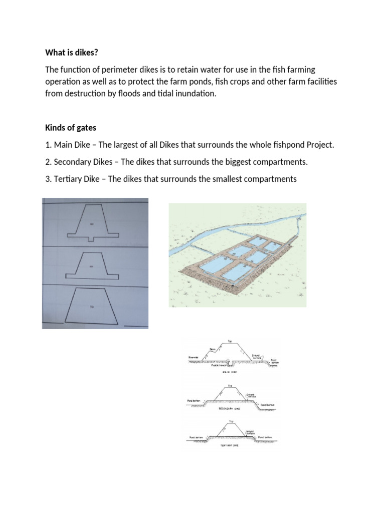 Lecture For Lesson 2 Kinds of Dikes | PDF | Levee | Home & Garden