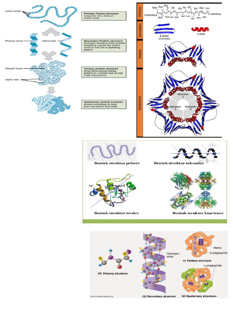 Gambar Biotec S7 | PDF