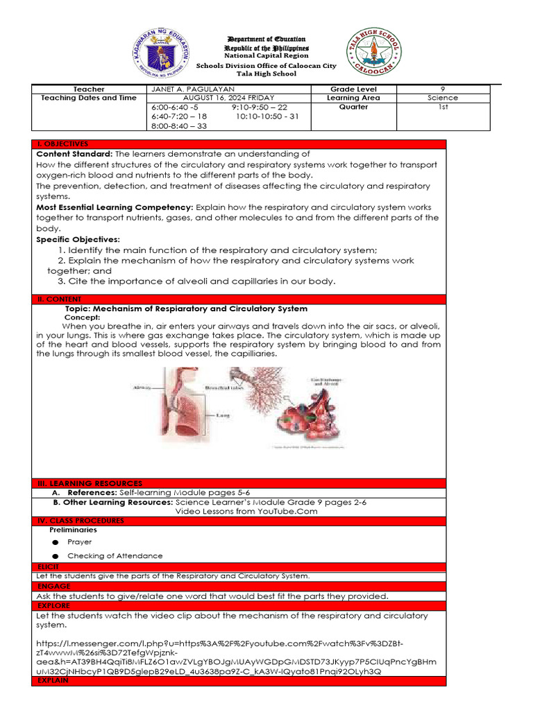 Day 11. Respiratory and Circulatory System | PDF | Respiratory System ...