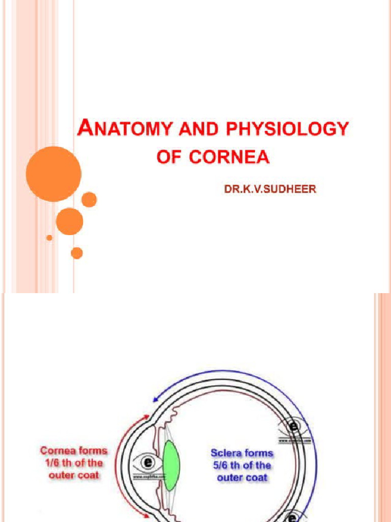 Anatomy and Physiology of Cornea 59151225 | PDF