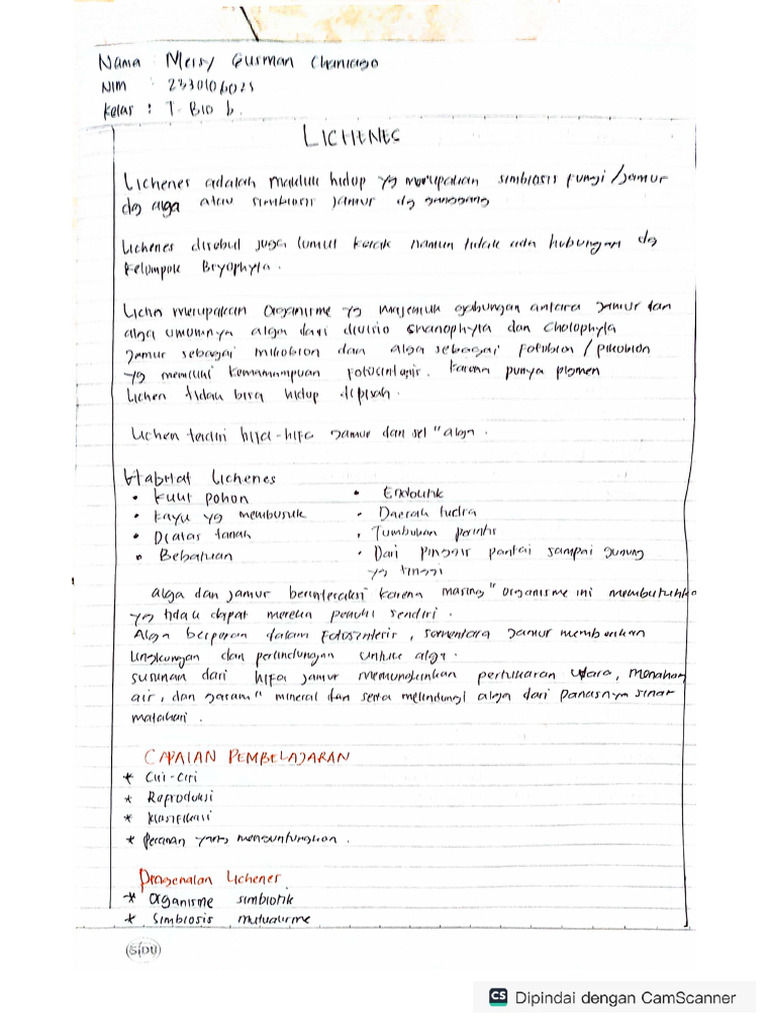 Lichenes (Messy) | PDF