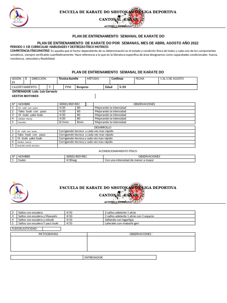 Plan Entr Junio-1 | PDF | Kárate | Shotokan