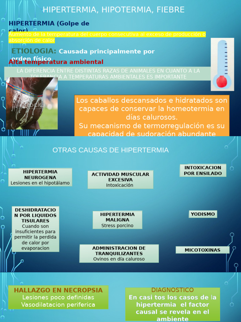 Hipertermia, Hipotermia, Fiebre | PDF | Fiebre | Termorregulación