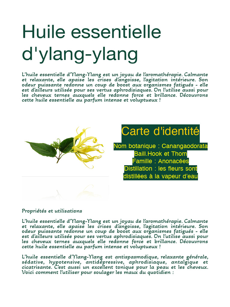 Ylang Ylang | PDF