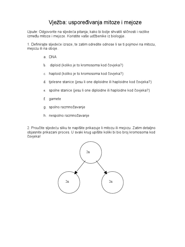 Usporedivanje Mitoze I Mejoze | PDF