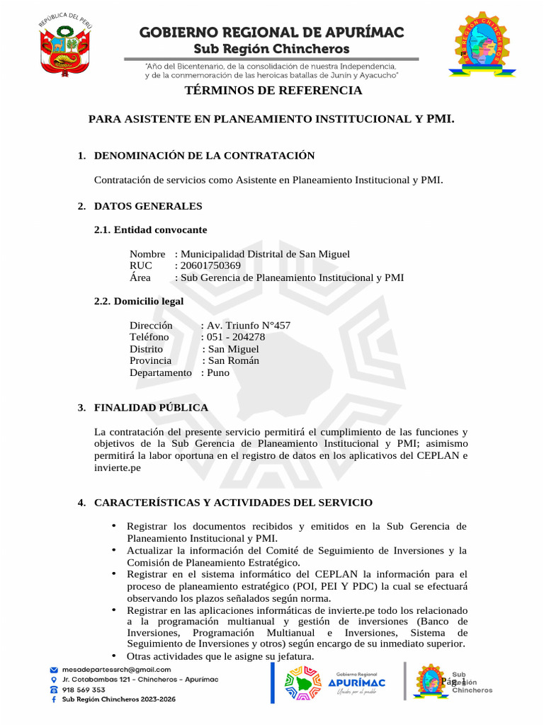 TDR Asistente Planeamiento | PDF