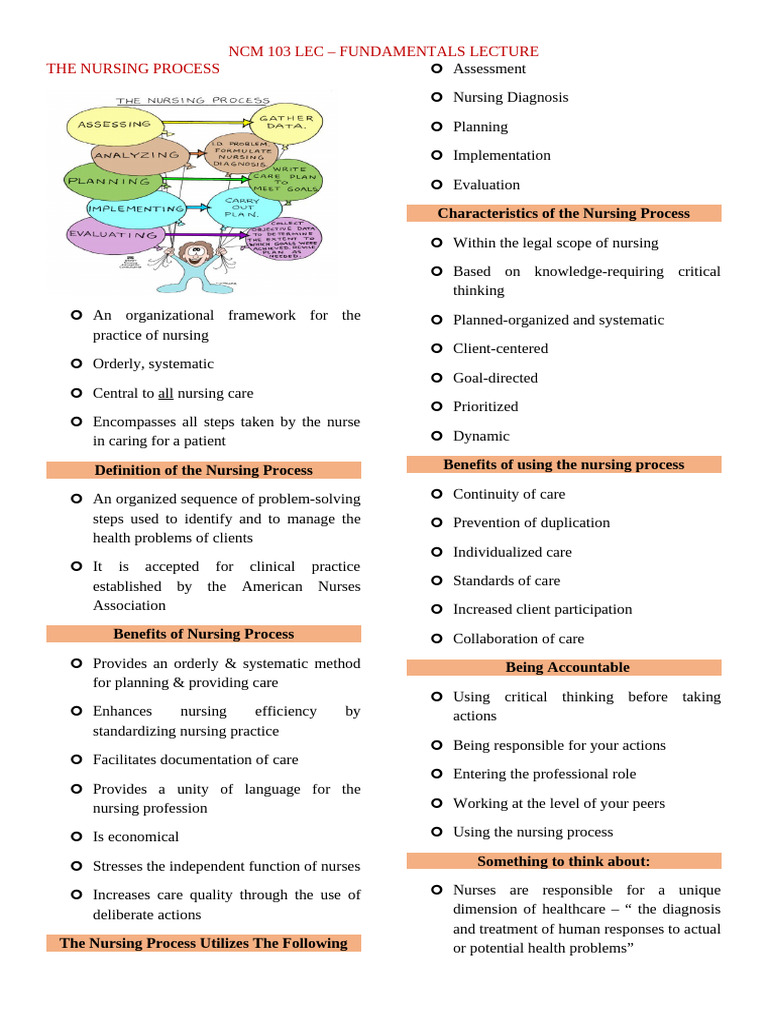 THE-NURSING-PROCESS | PDF