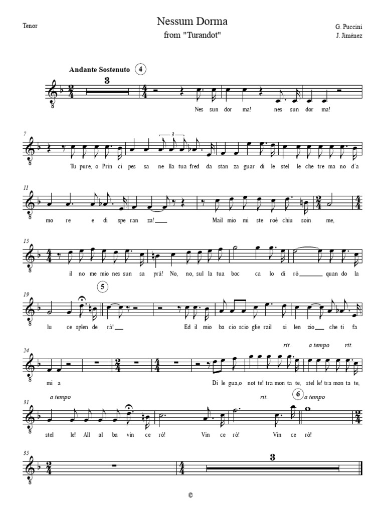 Nessum Dorma - Tenor Voice | PDF