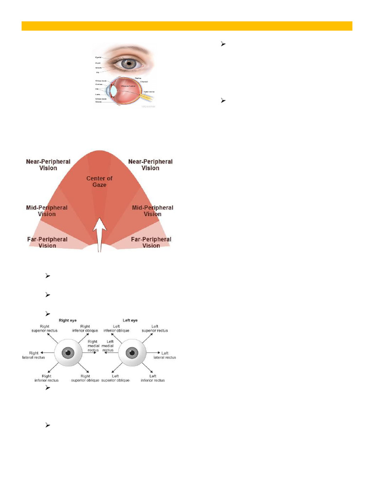 Eent Notes Ha Lab | PDF