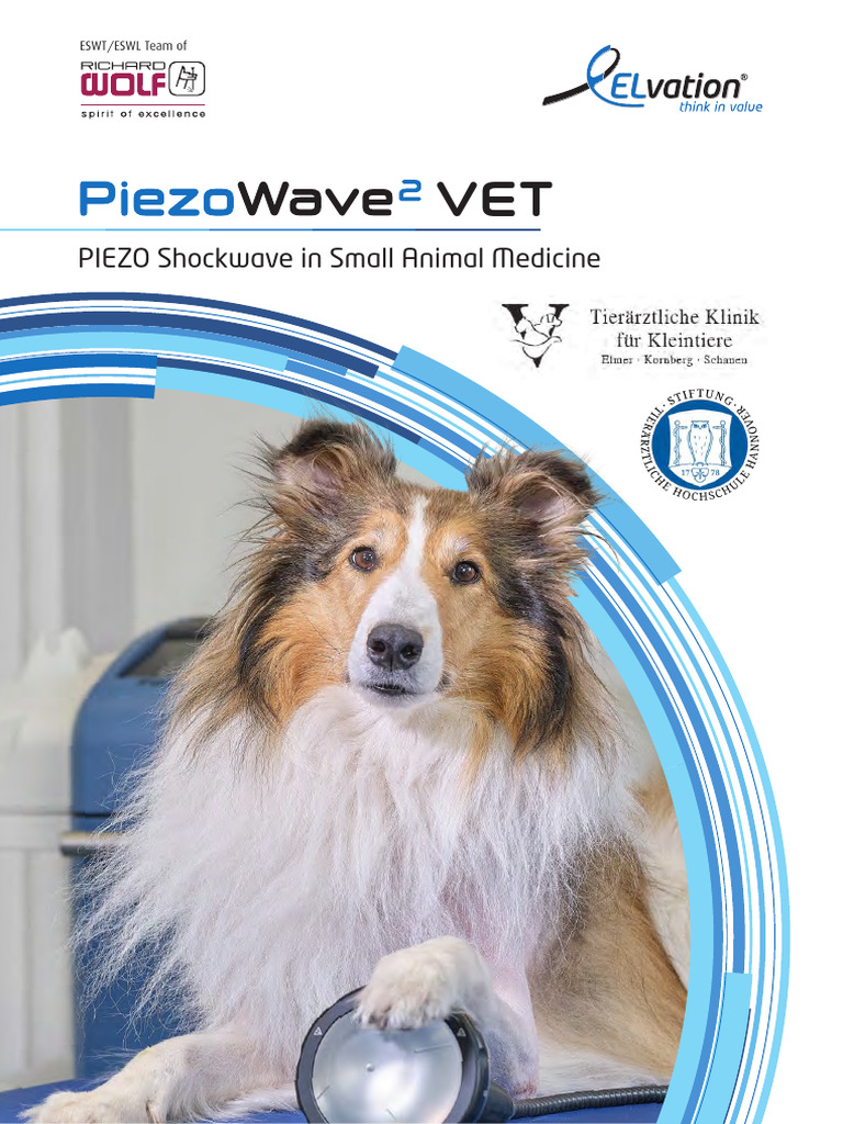 PIEZO Shockwave in Small Animal Medicine | PDF | Piezoelectricity ...