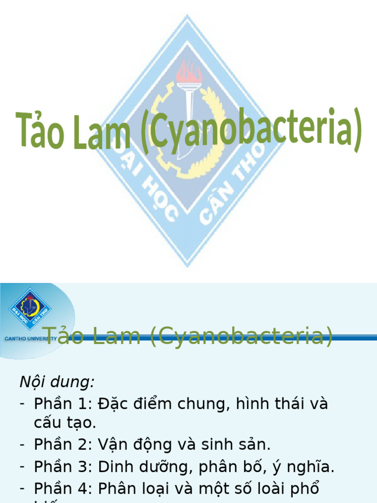 Thuc Vat Thuy Sinh | PDF