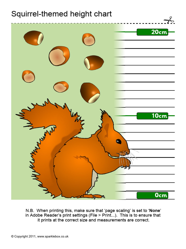 Printable Height Measurement | PDF