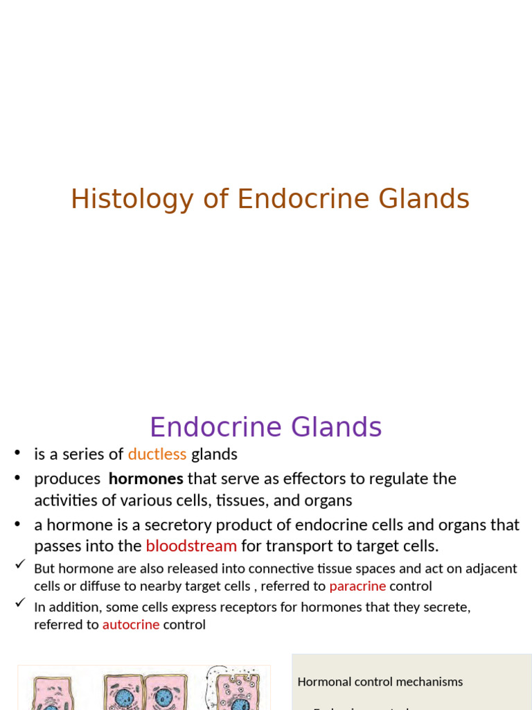 Endocrine | PDF