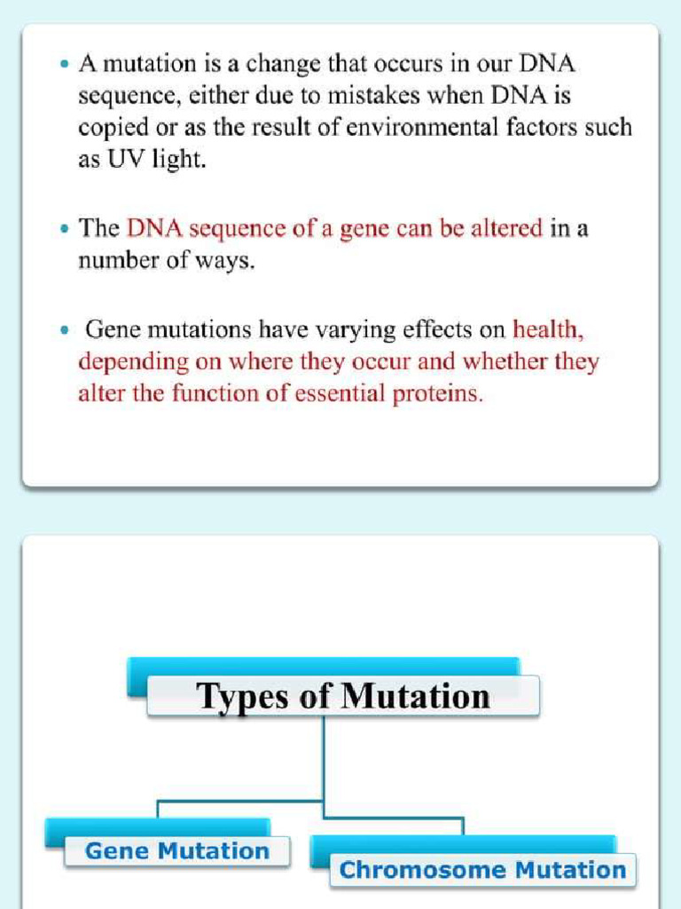 Mutation | PDF