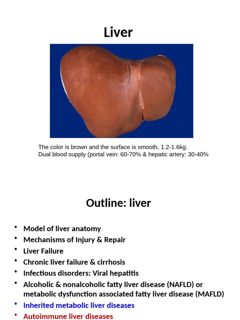 LIVER | PDF