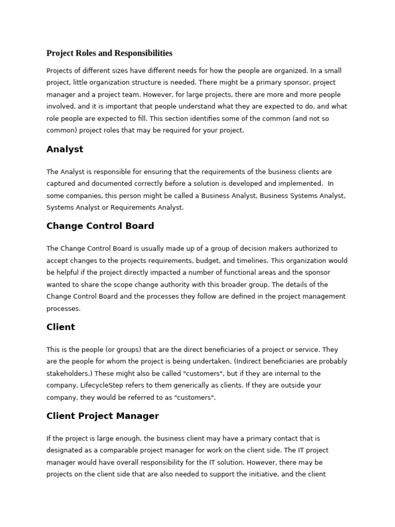 Project Roles and Responsibilities | PDF | Databases | Art