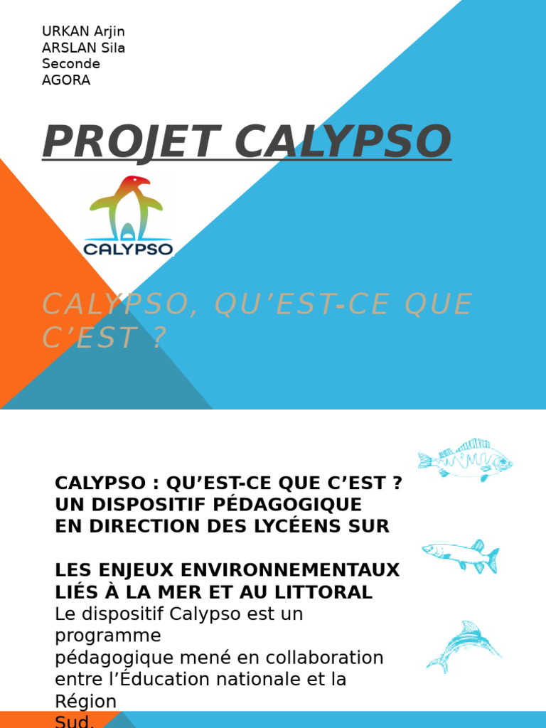 Projet Calypso | PDF