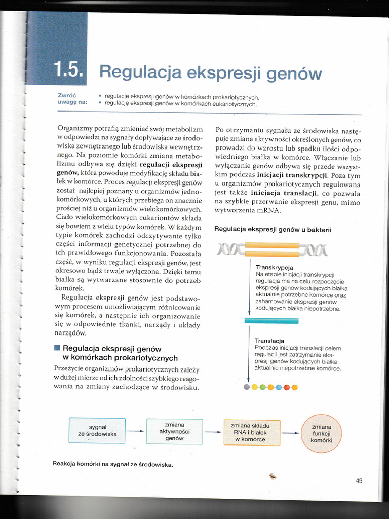 1.5 Regulacja ekspresji genów | PDF