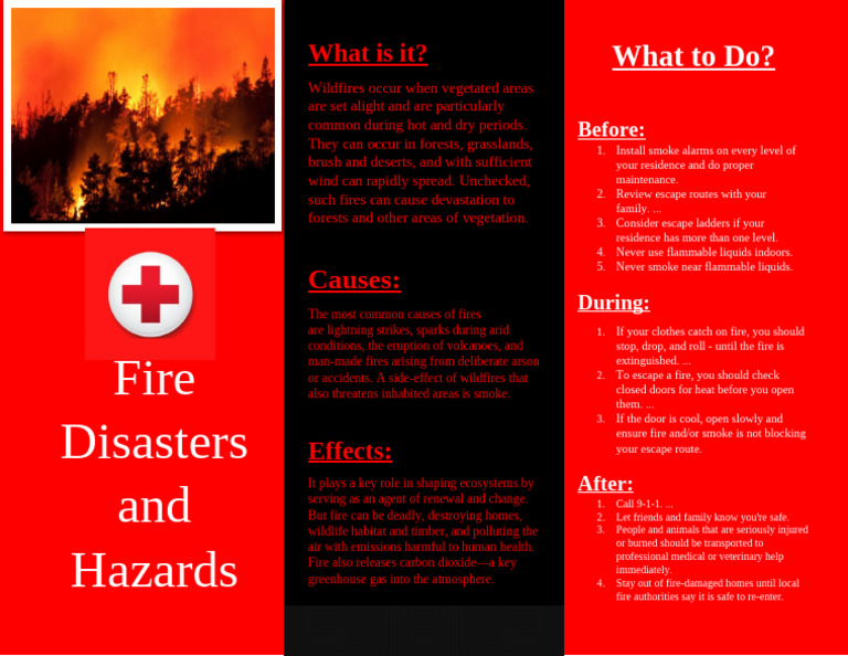 Fire Disasters and Hazards | PDF