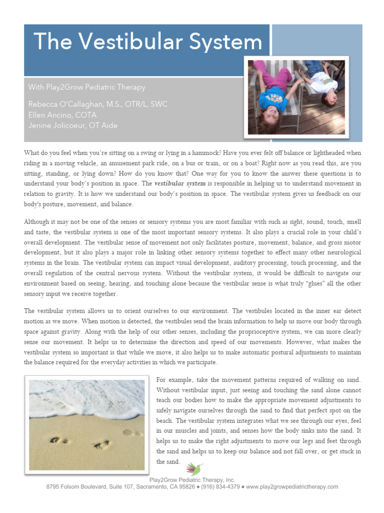The Vestibular System | PDF