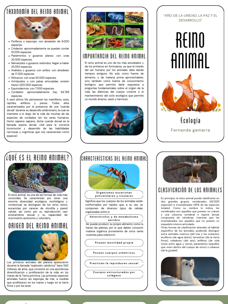 Reino Animal | PDF