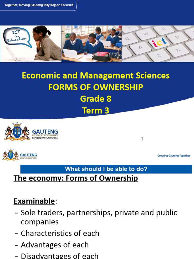 Grade 8 - Forms of Ownership Term 3 | PDF