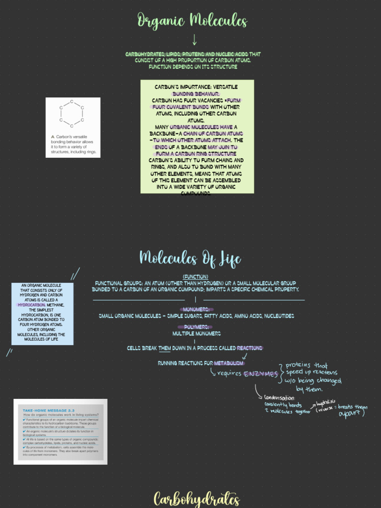 Biology Summaries | PDF