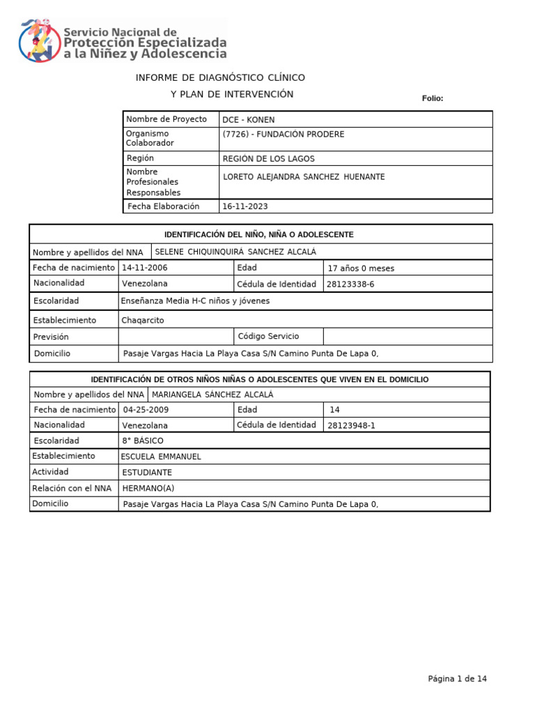 REVISION DCE Selene Sanchez P-317-2023 JF Quellón | PDF