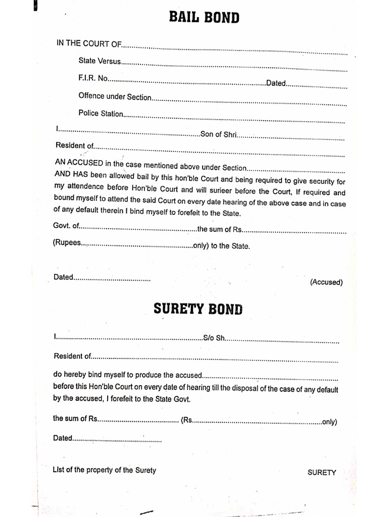 Bail Bond | PDF