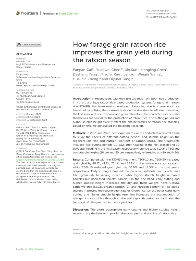 How Forage Grain Ratoon Rice Improves The Grain Yi | PDF