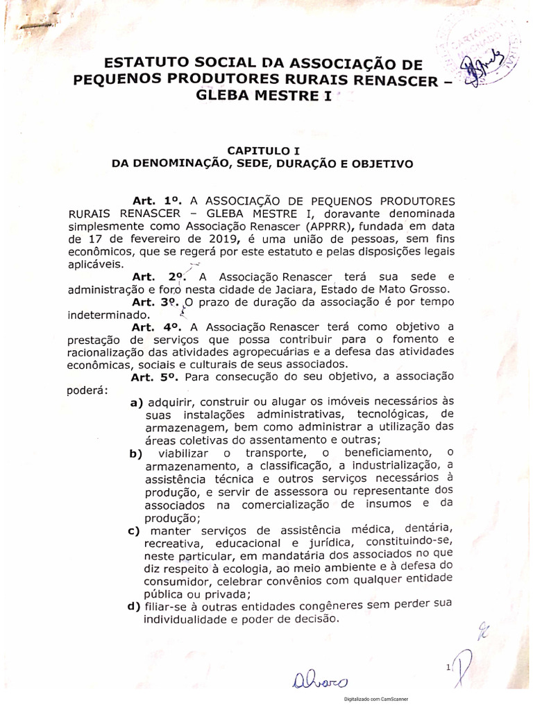 Estatuto Social Da Associação De. Pequenos Produtores Rurais Renascer | PDF