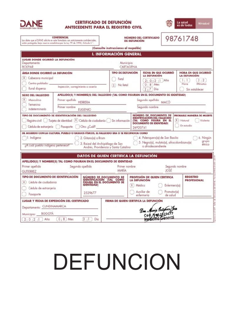 Defuncion Forma para Llenar | PDF
