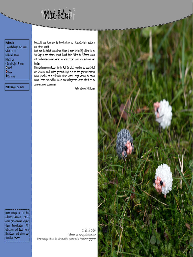 Schaf 01 | PDF