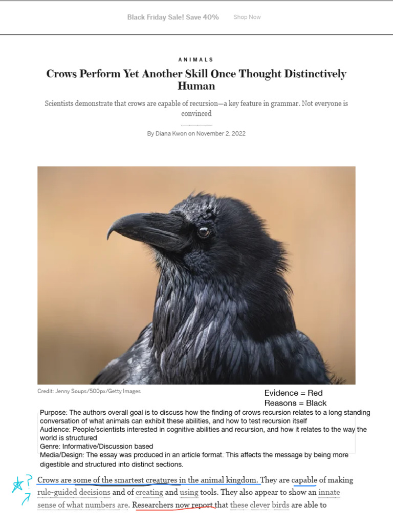 Crows Perform Yet Another Skill Once Thought Distinctively Human ...