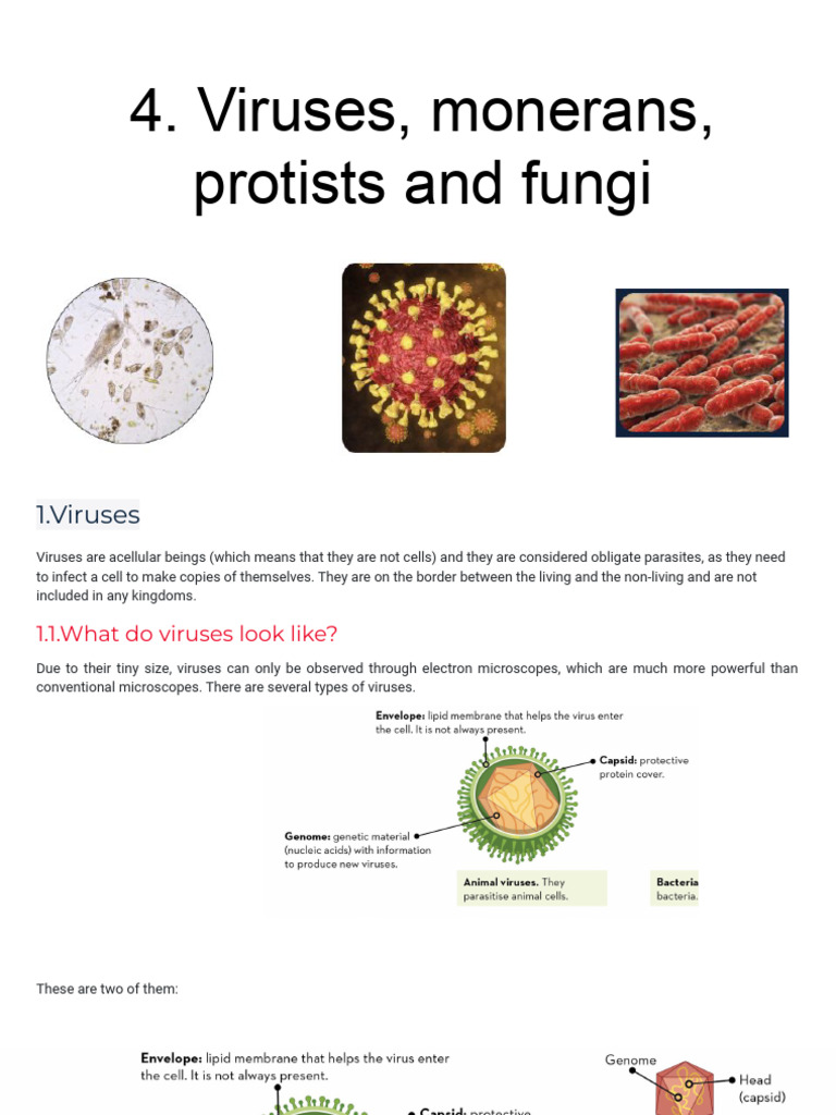 Some notes about viruses and bacteria | PDF