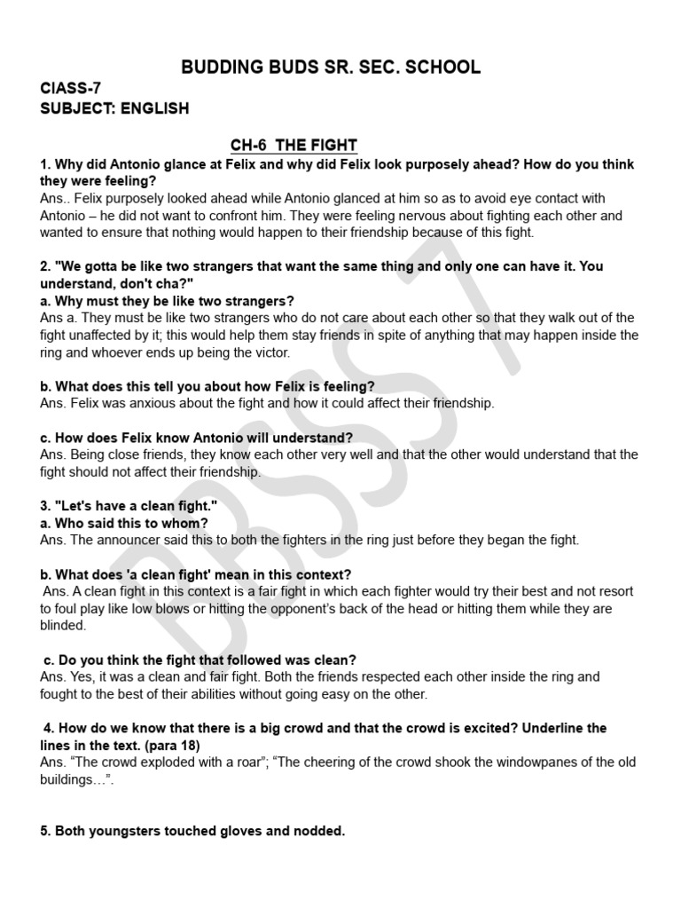 Budding Buds Sr. Sec. School: Class-7 Subject: English Ch-6 The Fight | PDF