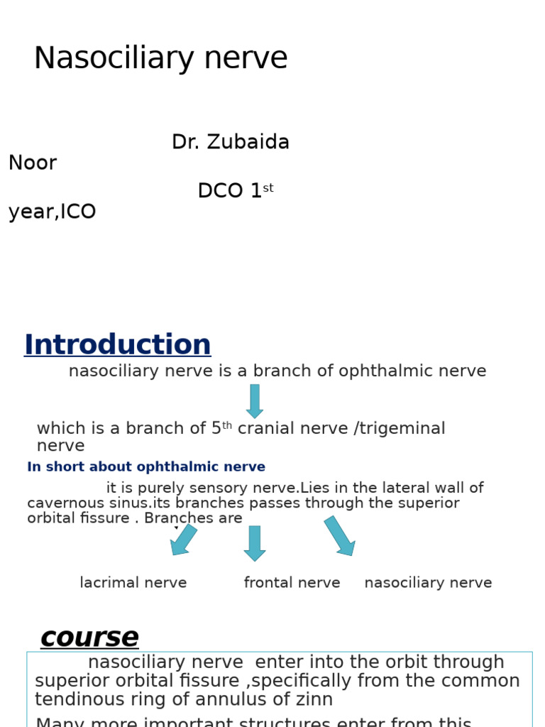 Nasociliary Nerve | PDF