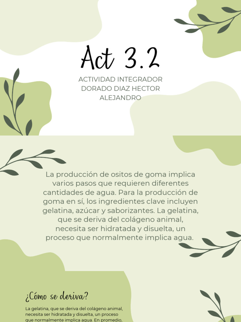 Act 2.3 Actividad Integradora. Dorado | PDF