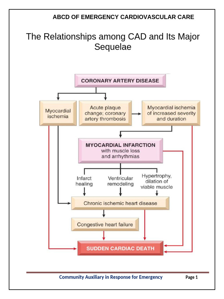 ABCD of Emergency Care | PDF