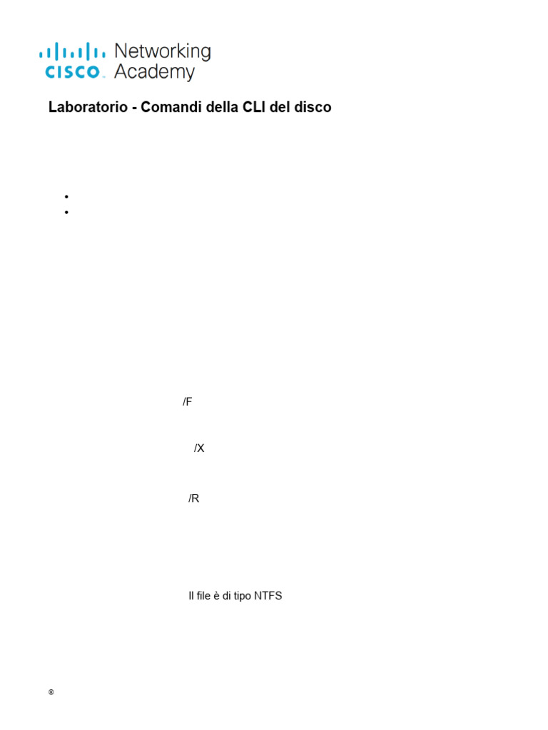 11.4.3.2 Lab - Disk CLI Commands | PDF