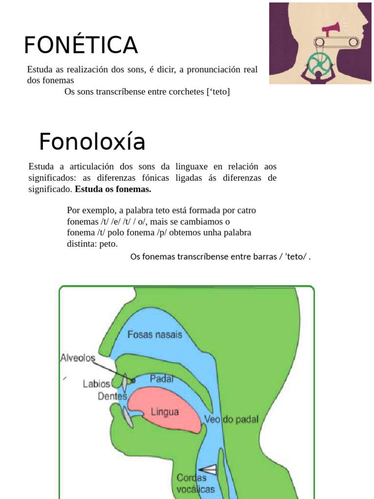 FONÉTICA | PDF