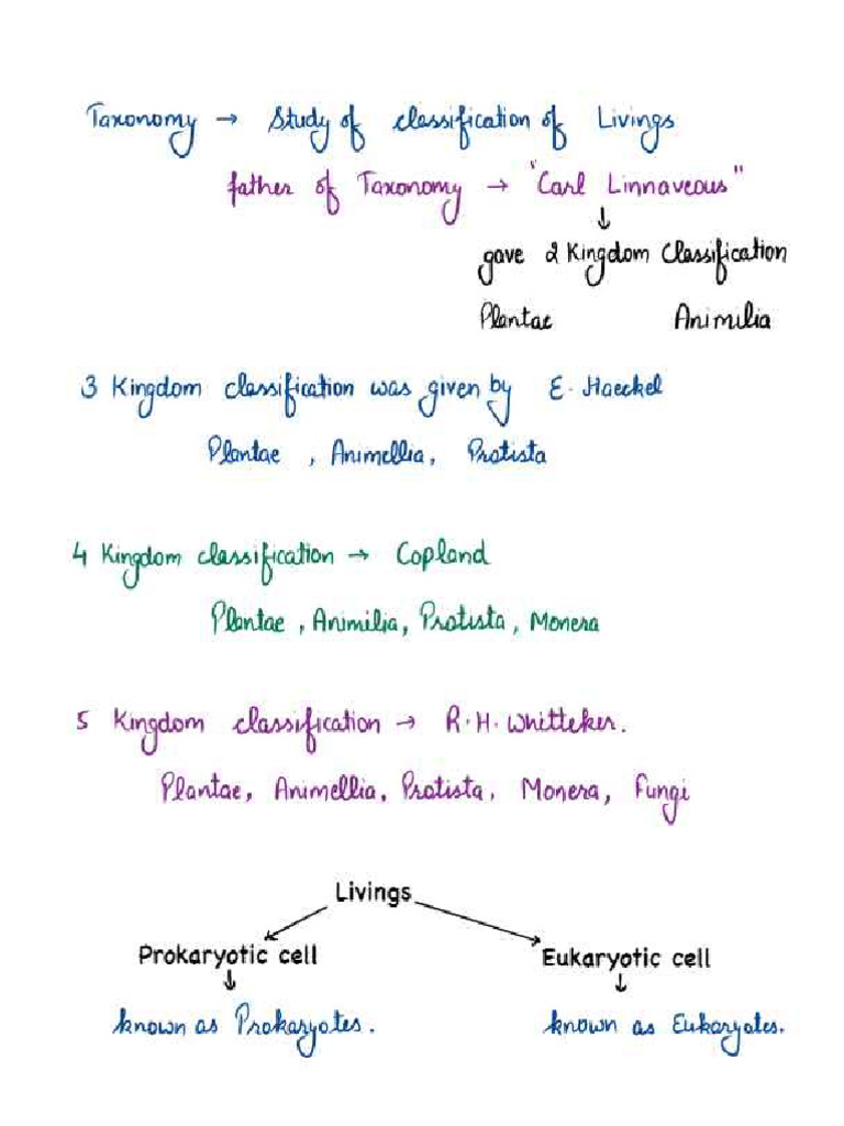 (Biology) Animal Kingdom | PDF