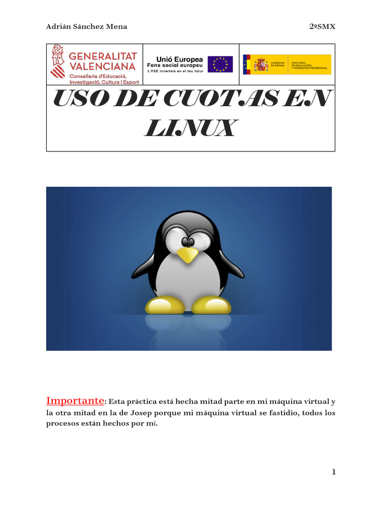 Configuración de Cuotas en Linux | PDF | Archivo de computadora | Ingeniería de software