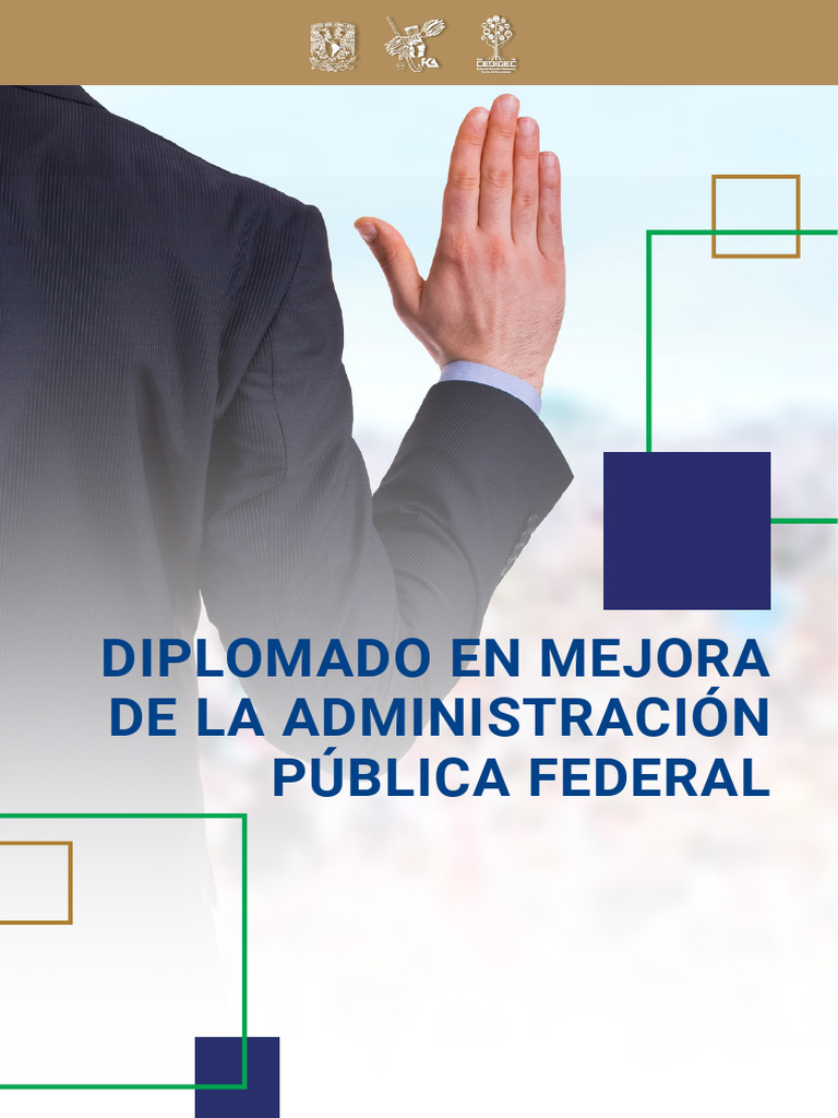 Diplomado MAPF - Manual Módulo 1 | PDF