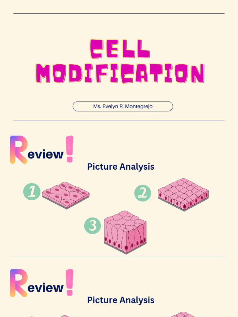 Cell Modification PDF | PDF