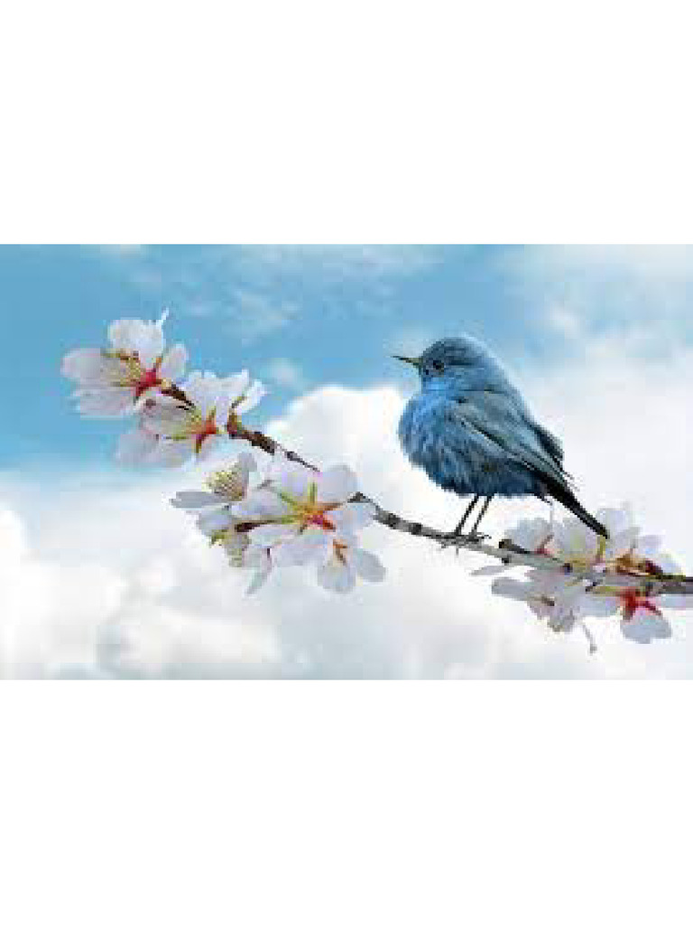 IPPB Project Report On Role of Payments Banks in Rural Areas | PDF