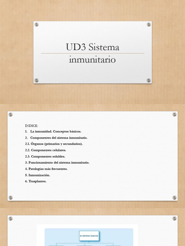 UD3 Sistema Inmunitario 1Â Parte | PDF