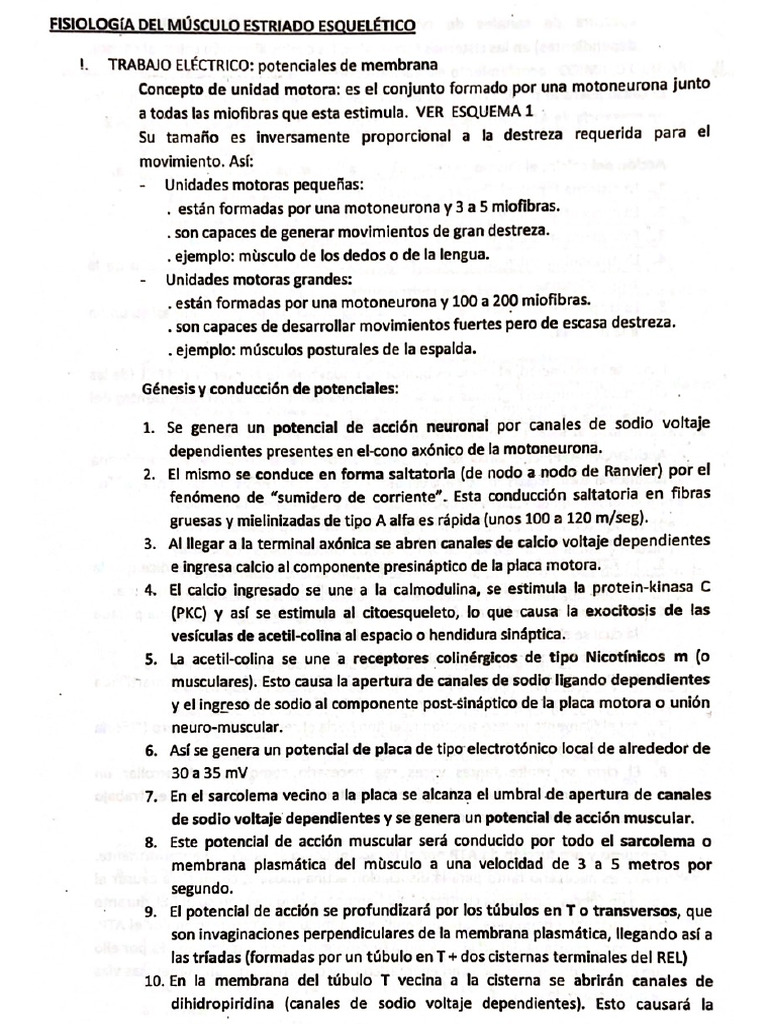 MEE Apunte Tytl | PDF